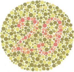 color blind test examples
